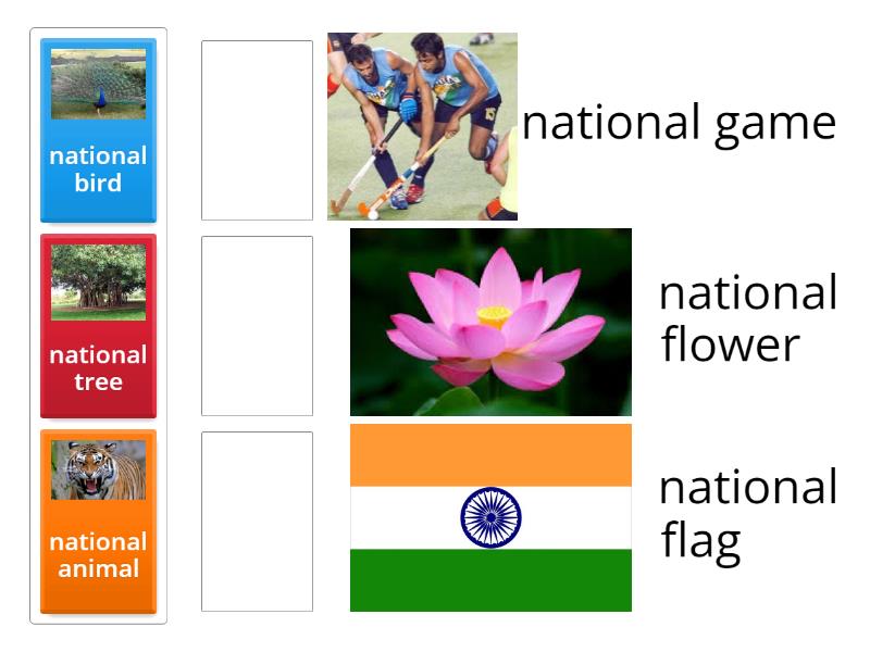 national symbols - Match up