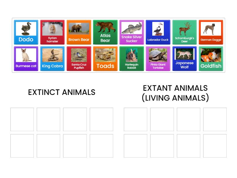 EXTINCT ANIMALS VS EXTANT ANIMALS - Group sort