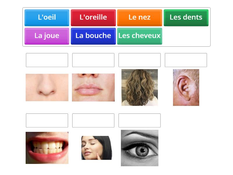 Les parties du visage - Match up