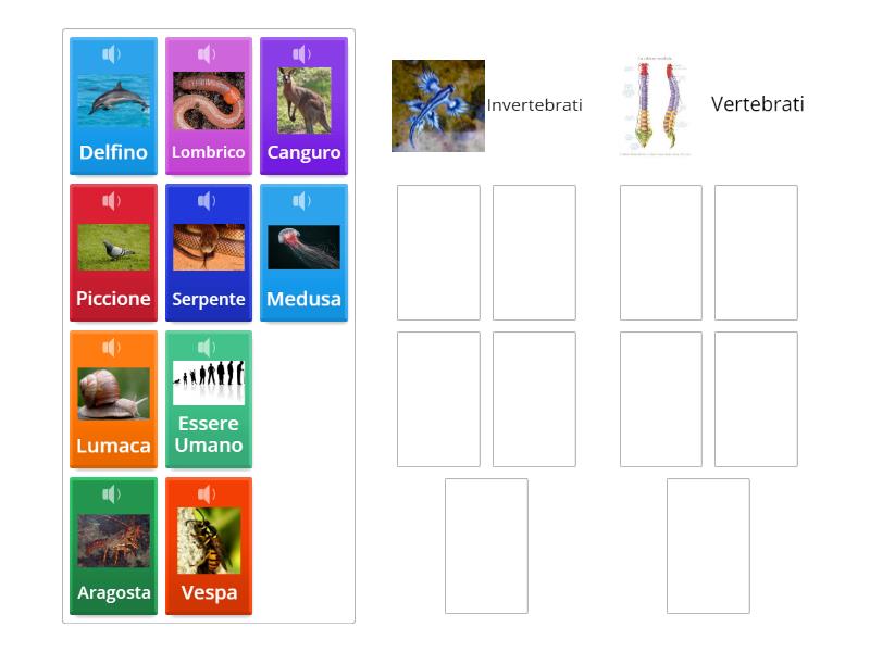 Classifica gli animali - Group sort