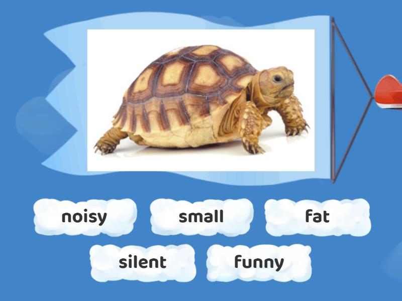 Form 2, ex. 4, p. 65 - Find the match