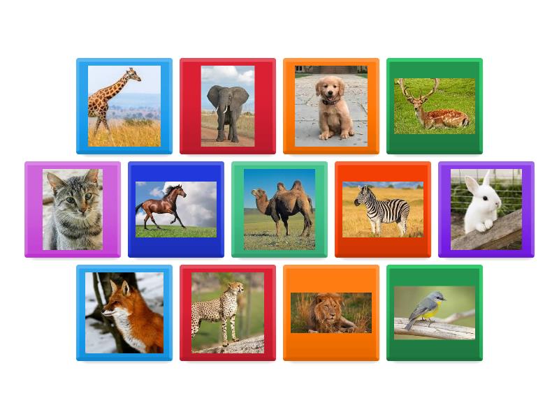 Animals - Flip tiles