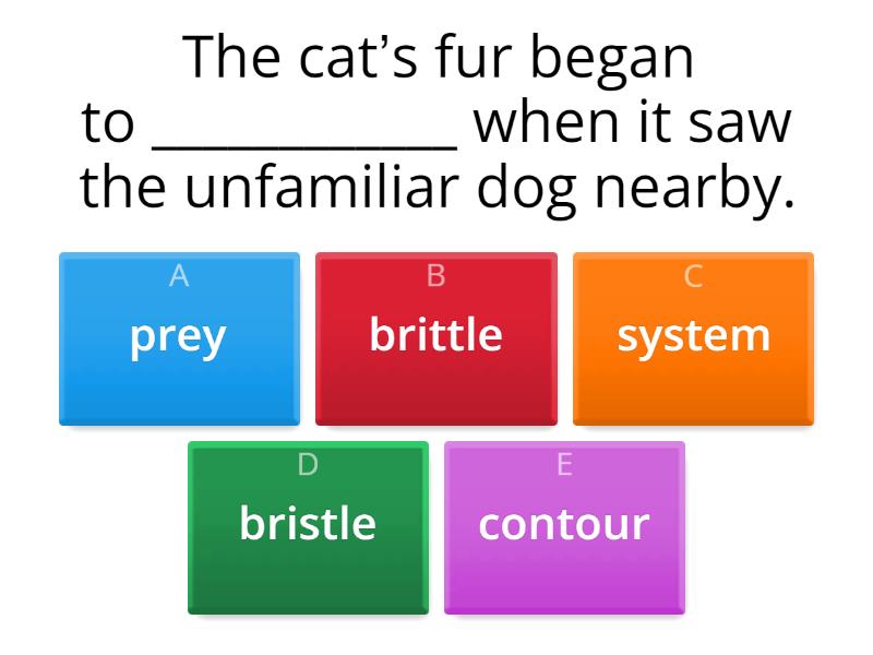 Develop Vocabulary (Feathers, Not Just for Flying) - Quiz