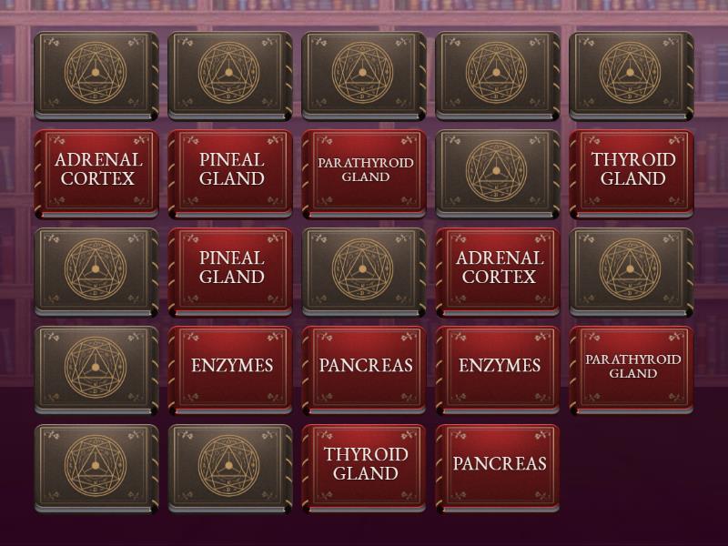 ENDOCRINE SYSTEM-2 - Matching pairs