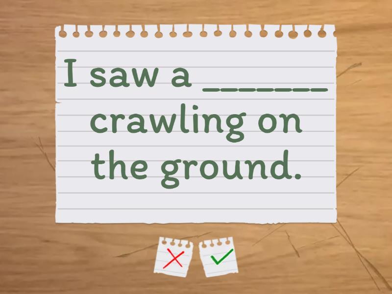 Checking words - Flash cards