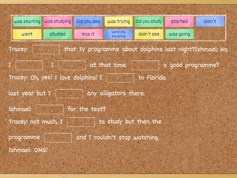 Past Simple & Past continuous dialogue - Missing word