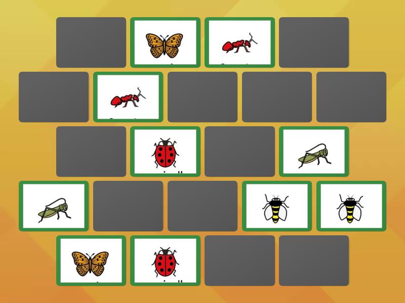 Memory - Matching pairs