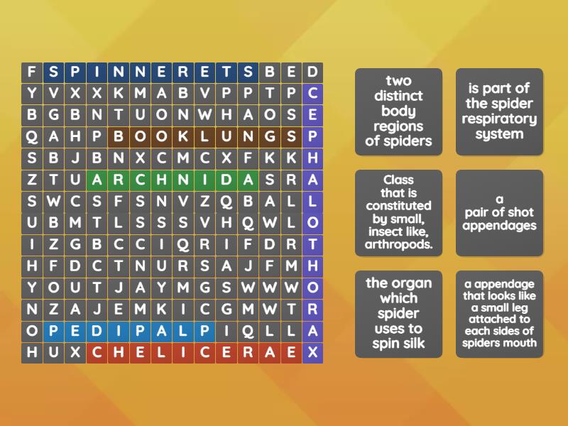 Archnids, Centipedes, and Millipedes - Wordsearch