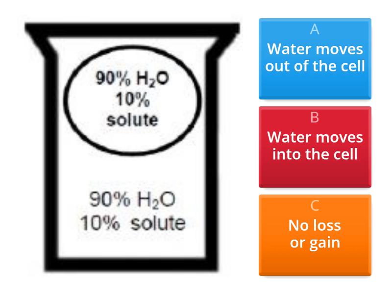 Osmosis Practice - Quiz