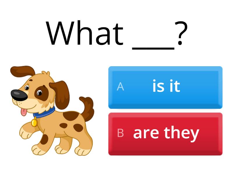 What is it?/What are they? - Quiz