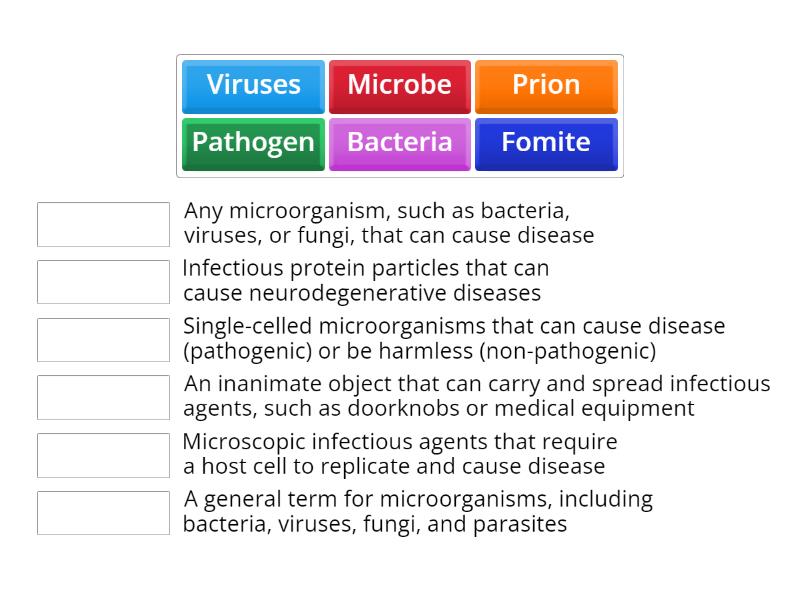Microorganisms and Pathogens - Associação