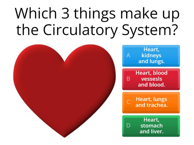 The Circulatory System - Quiz