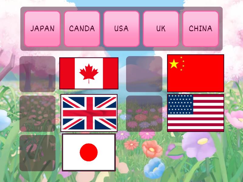 COUNTRY FLAG - Match up