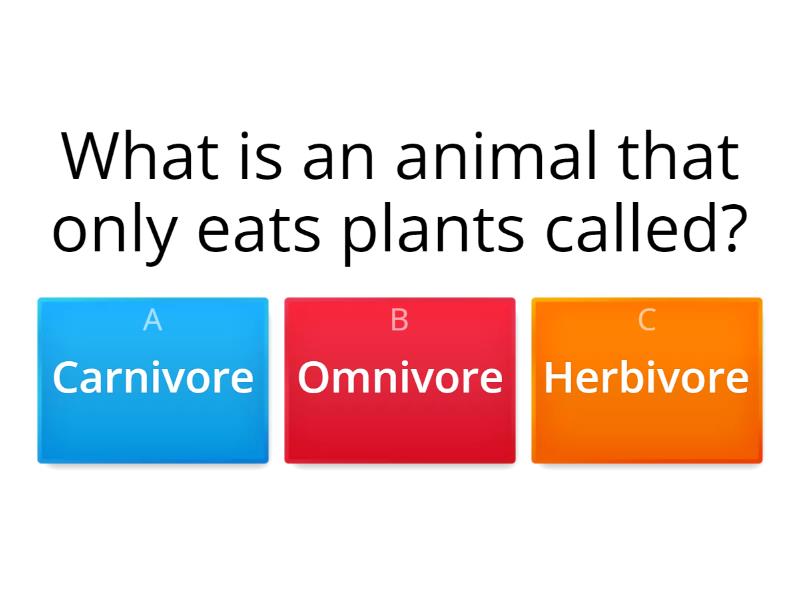 Food Chains vocabulary - Quiz