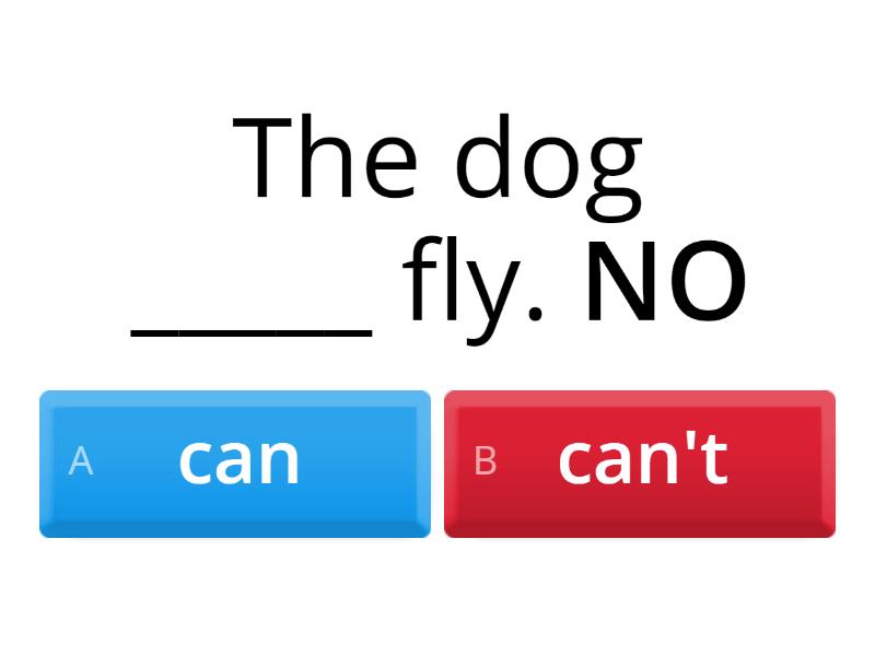 ac_a1_u5_grammar_ can / can`t_test - Quiz