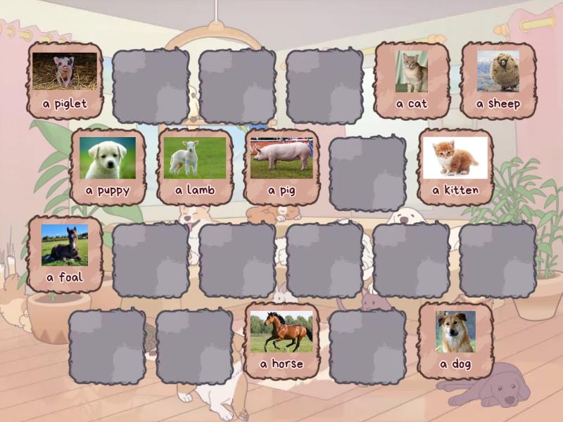 baby animals - Matching pairs