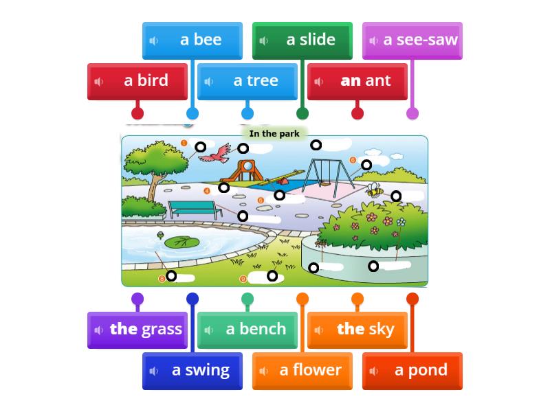 1B Ch.3 In the park (Labeling, identifying) - Labelled diagram