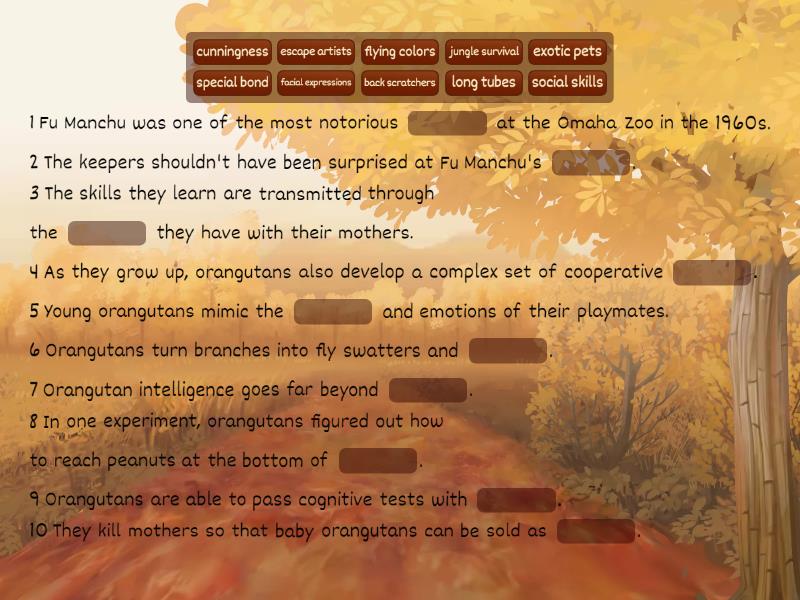 TED ED HOW SMART ARE ORANGUTANS 2 - Complete the sentence