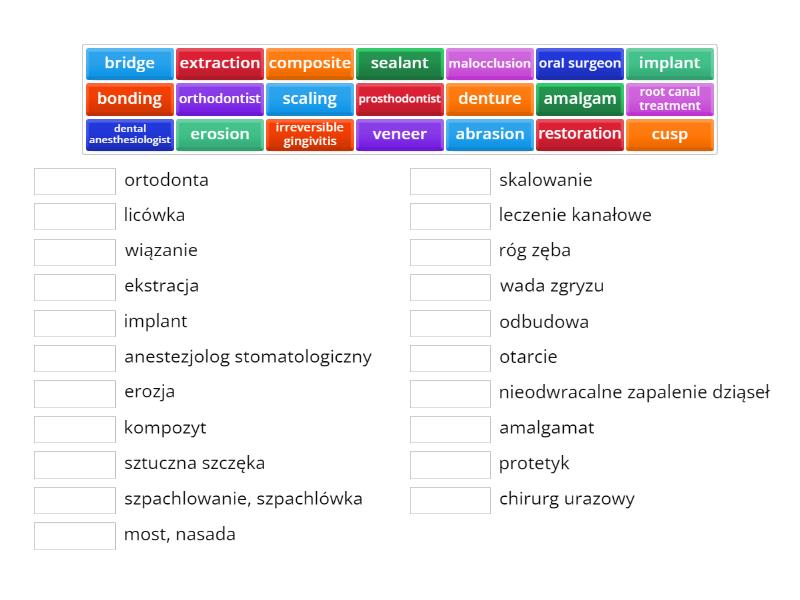 Basic Dental Terminology 2 Match Up