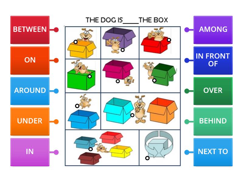 PREPOSITIONS OF PLACE - Labelled diagram