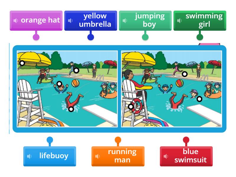 Swimming Pool - Labelled diagram