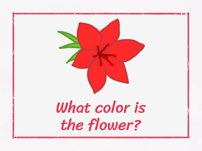 AS starters- U4 - Flash cards