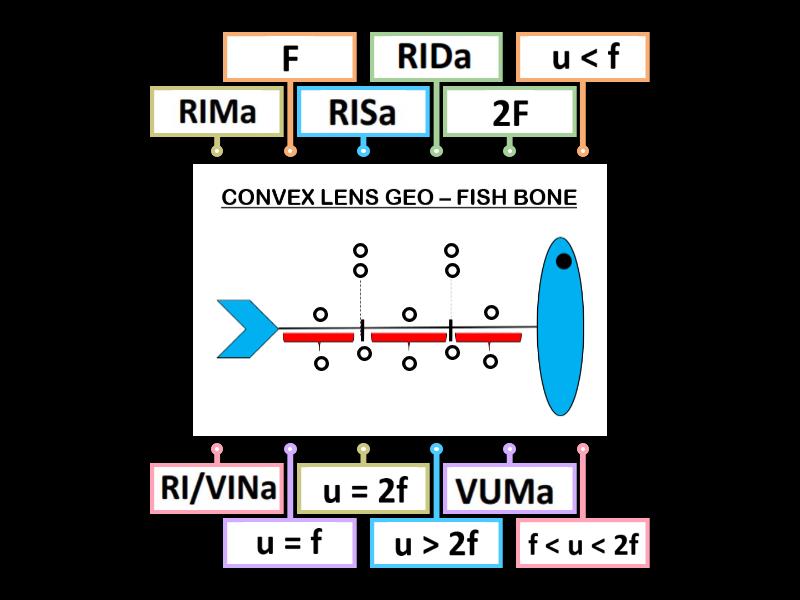HANDS ON 3 : CONVEX LENS GEO - FISH BONE - Labelled diagram