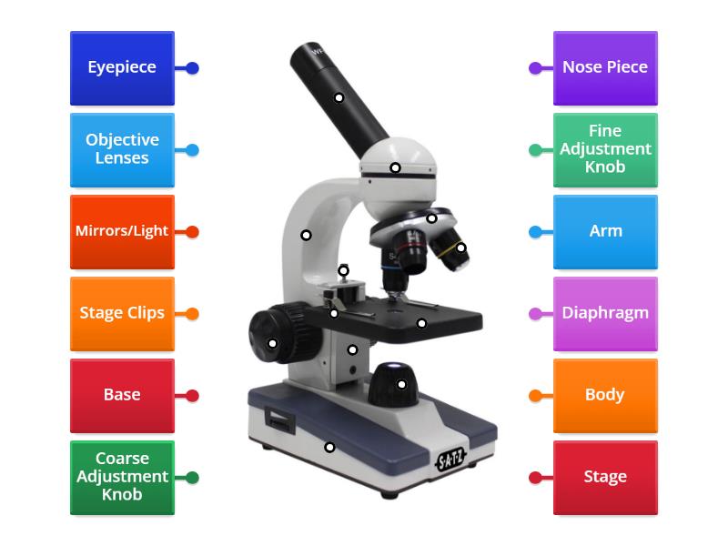 Microscope Project - Labelled diagram