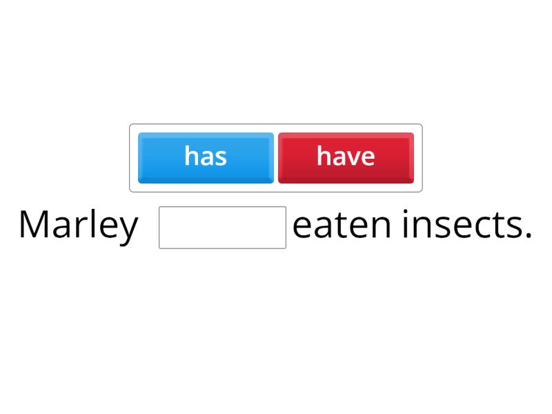Present perfect: positive and negative sentences. - Complete the sentence
