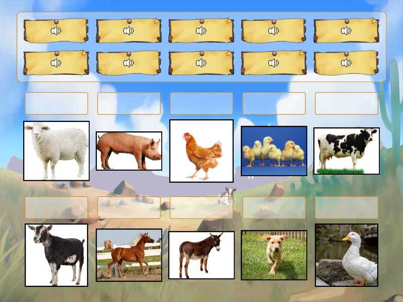 Farm animals - Match up