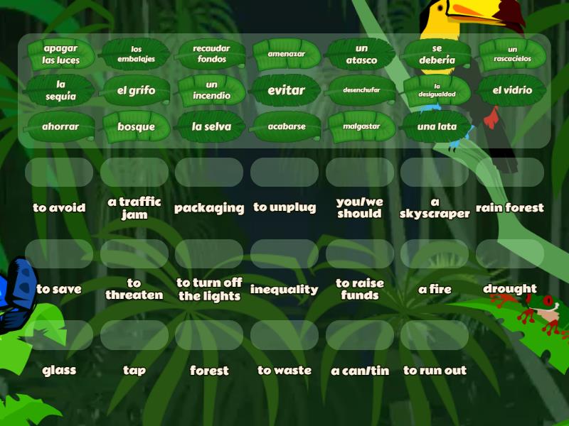 El medio ambiente - vocabulario clave - Match up