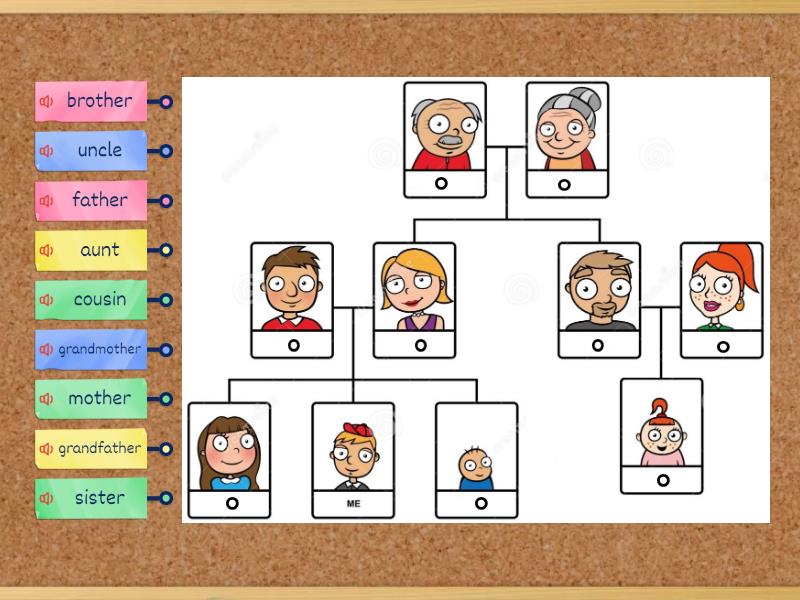 Family - Labelled diagram