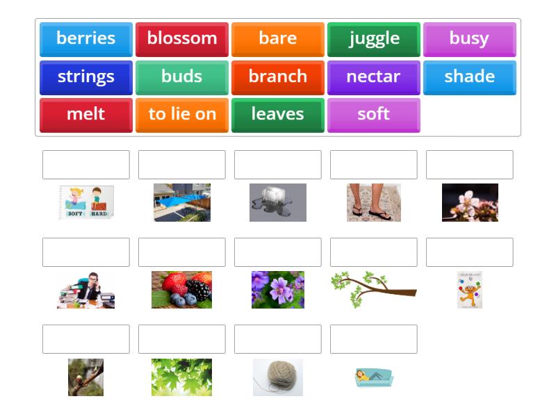 OD 1 U8 reading new words - Match up
