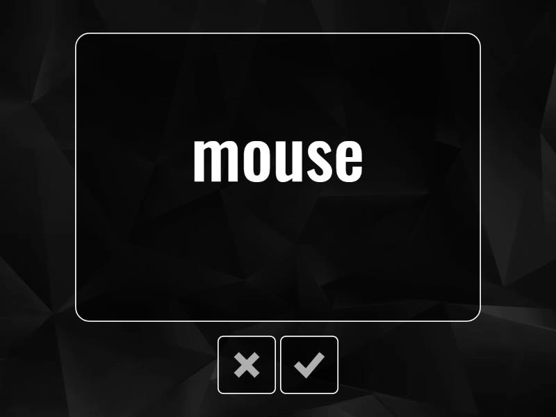 Irregular Plural Nouns Flash Cards