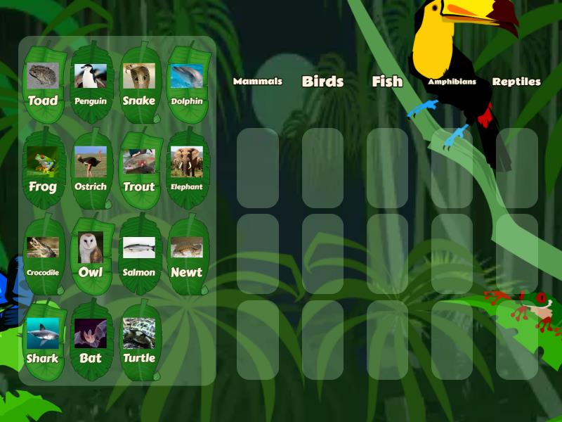 Classifying vertebrates - Ordenar por grupo