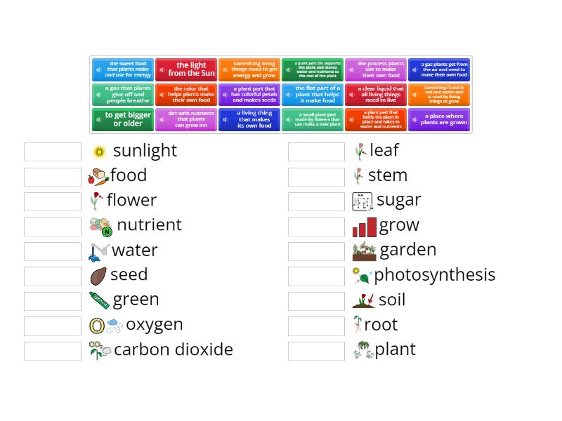 n2y (regular) - Match up