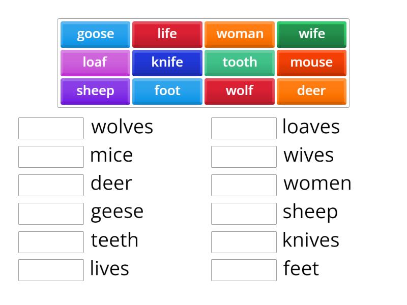 Irregular Plural Nouns - Match up