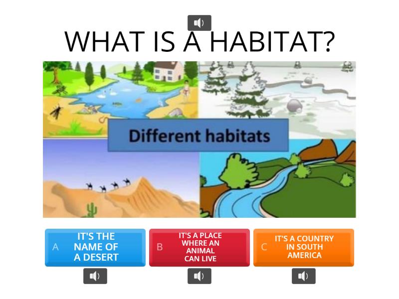 HABITATS - Quiz