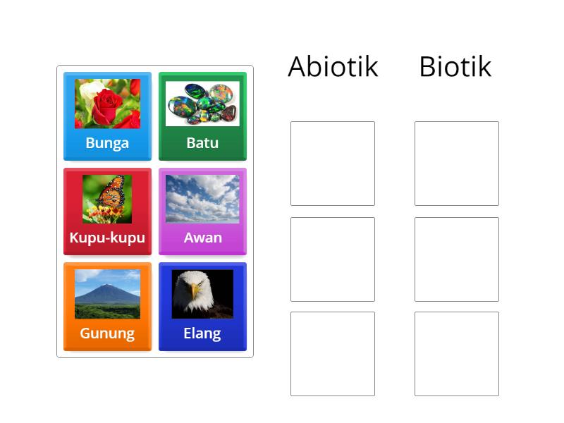 Biotik dan abiotik - Group sort