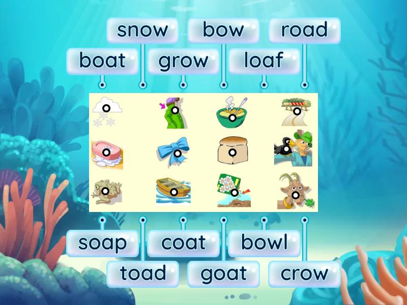 Oa and Ow Label - Labelled diagram