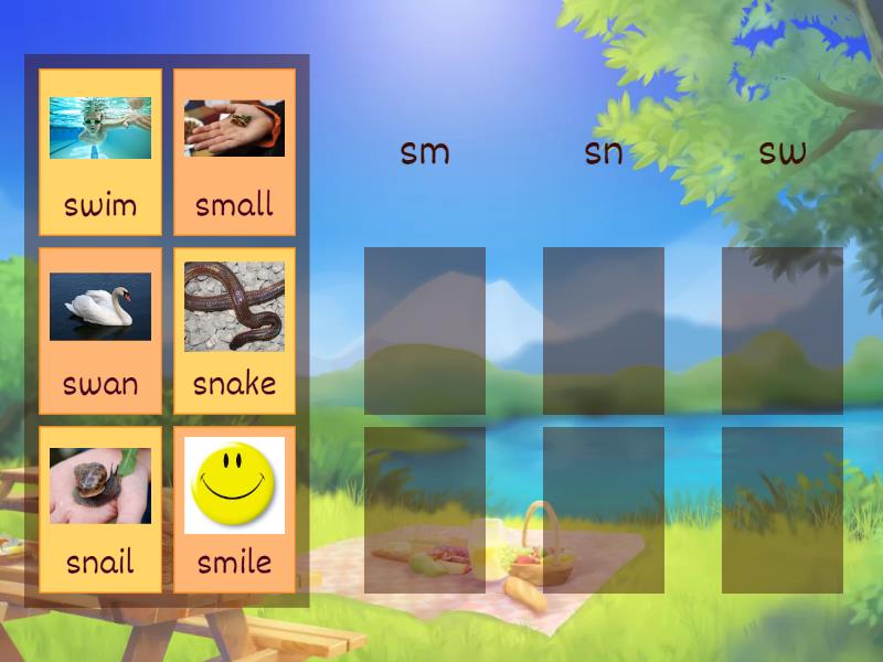 Phonics - sm, sn, sw - Group sort
