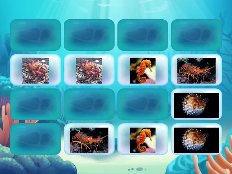 Sea creatures - Matching pairs