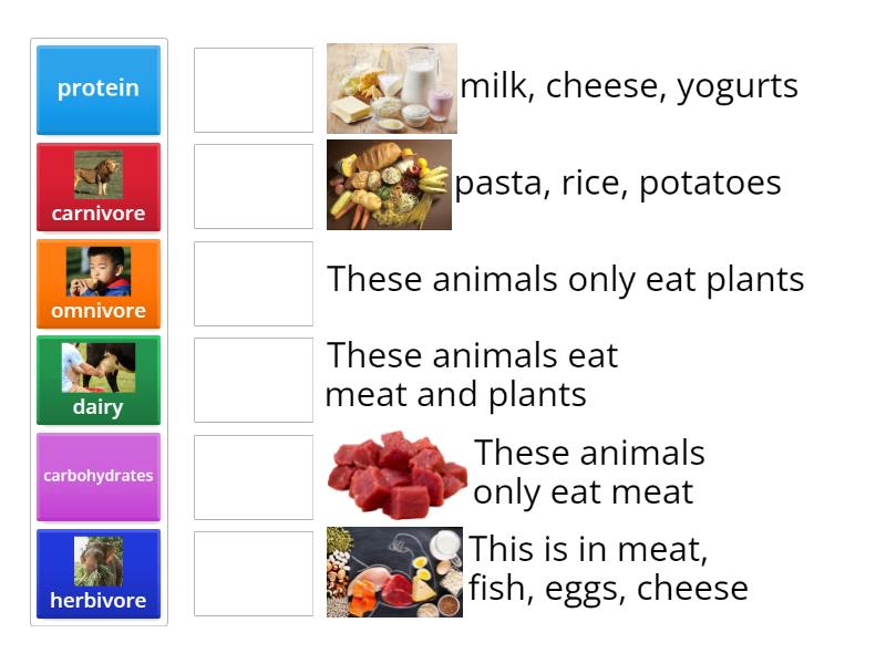 Animal Diets Year 3- Word Match v3 - Match up