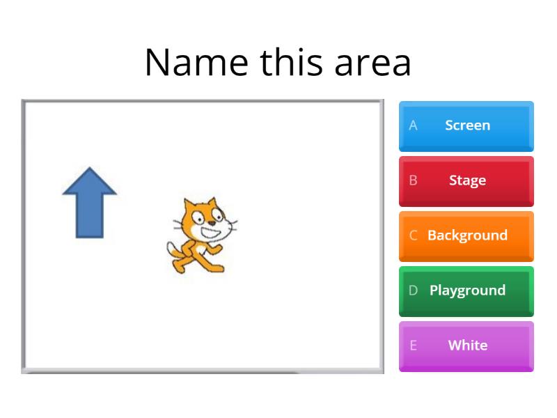 Scratch Intro - Quiz