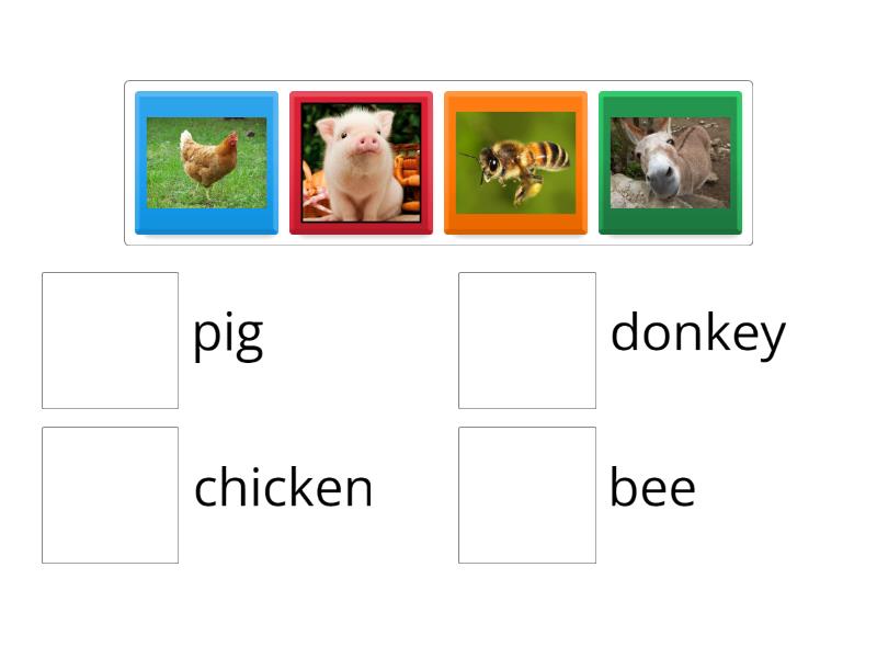 Farm animals - Match up