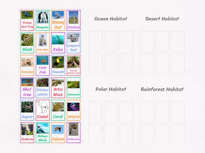 Y2-Sorting of Animals according to habitats - Group sort