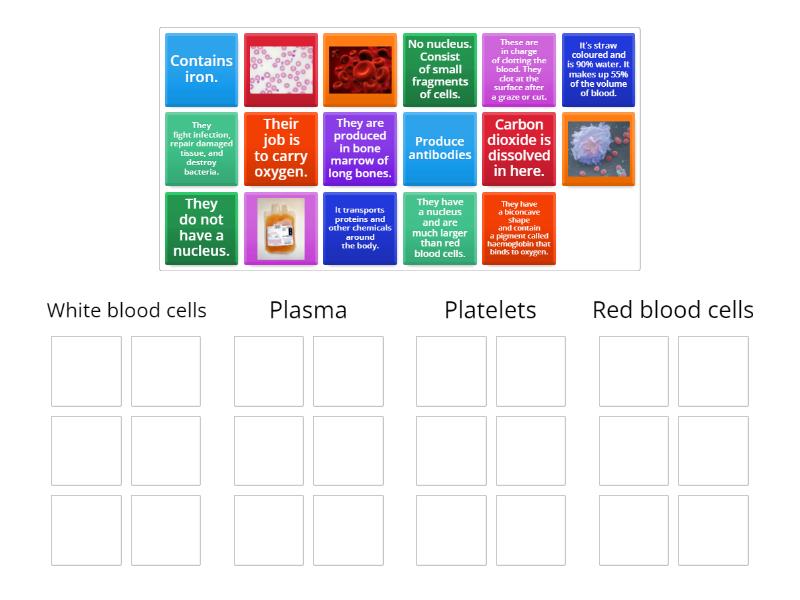 AW Yr 10 The blood - Group sort