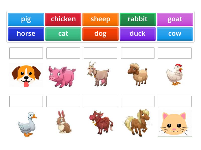 Farm Animals - Match up