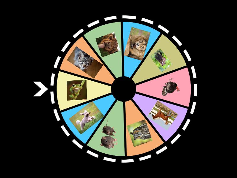 Animals And Their Sounds Spin The Wheel