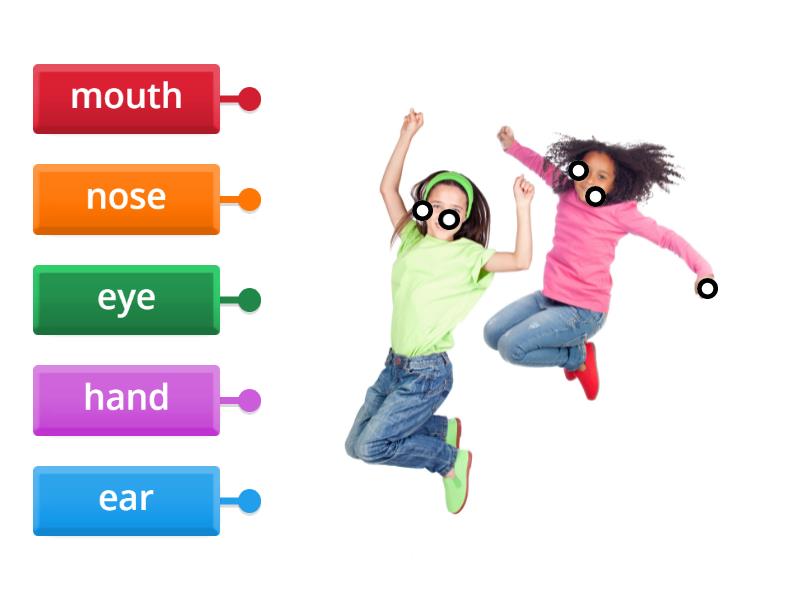 CLIL Vocabulary Science: Parts of the body - 5 senses - Labelled diagram